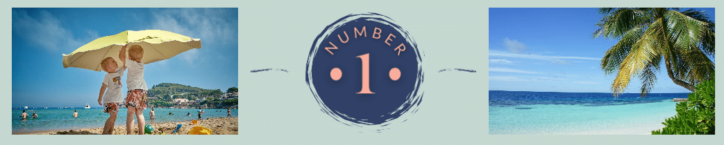 Top Five Reasons to Use a Travel Advisor — Living with the Magic