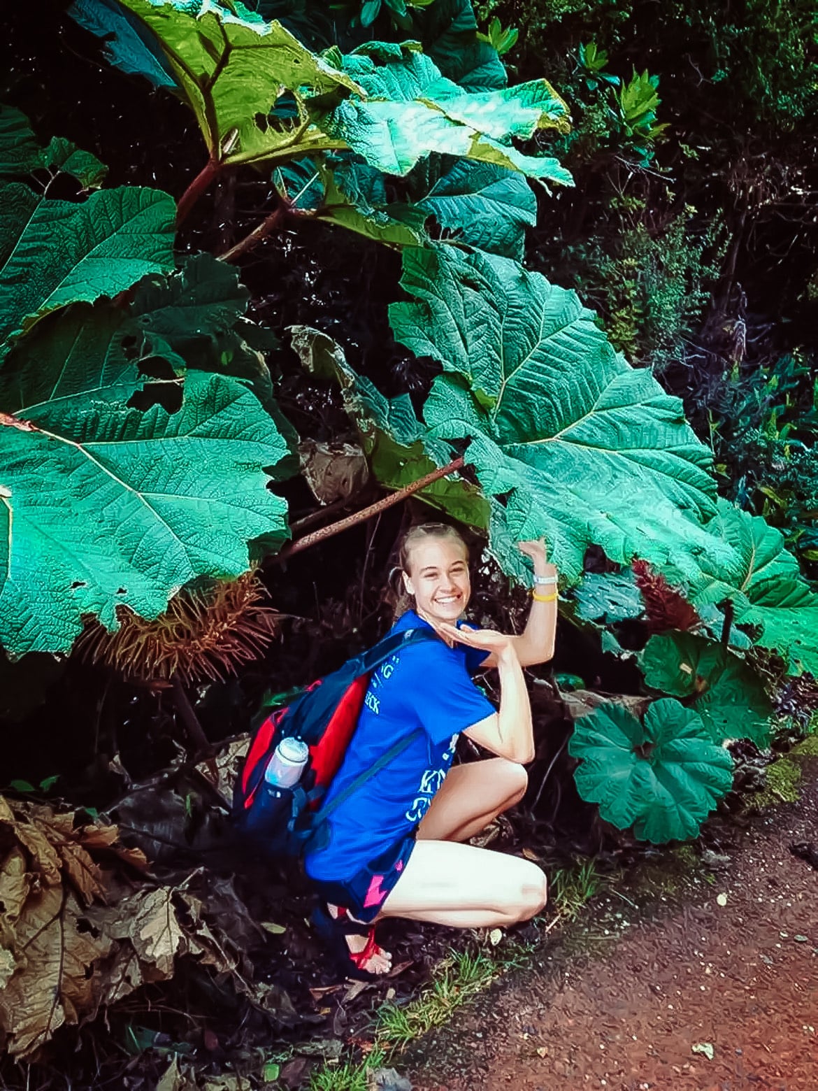 Jessica Dyer | Travel Advisor